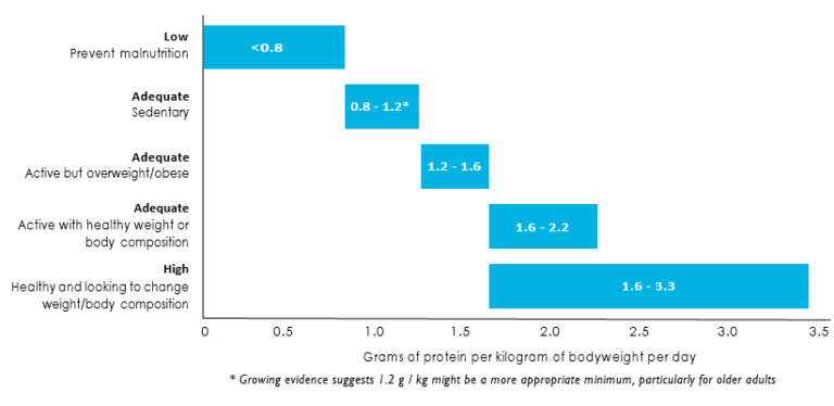 How much protein do I need? | All about protein | Stamina Holistic ...